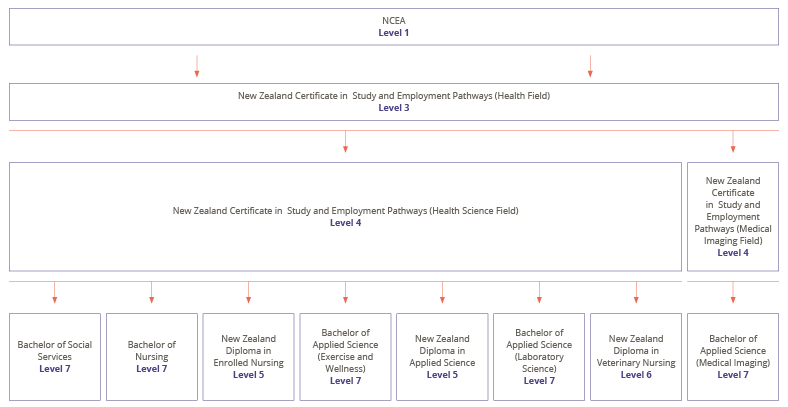 New Zealand Certificate in Study and Employment Pathways (Level 3) (Health Field) | Universal ...